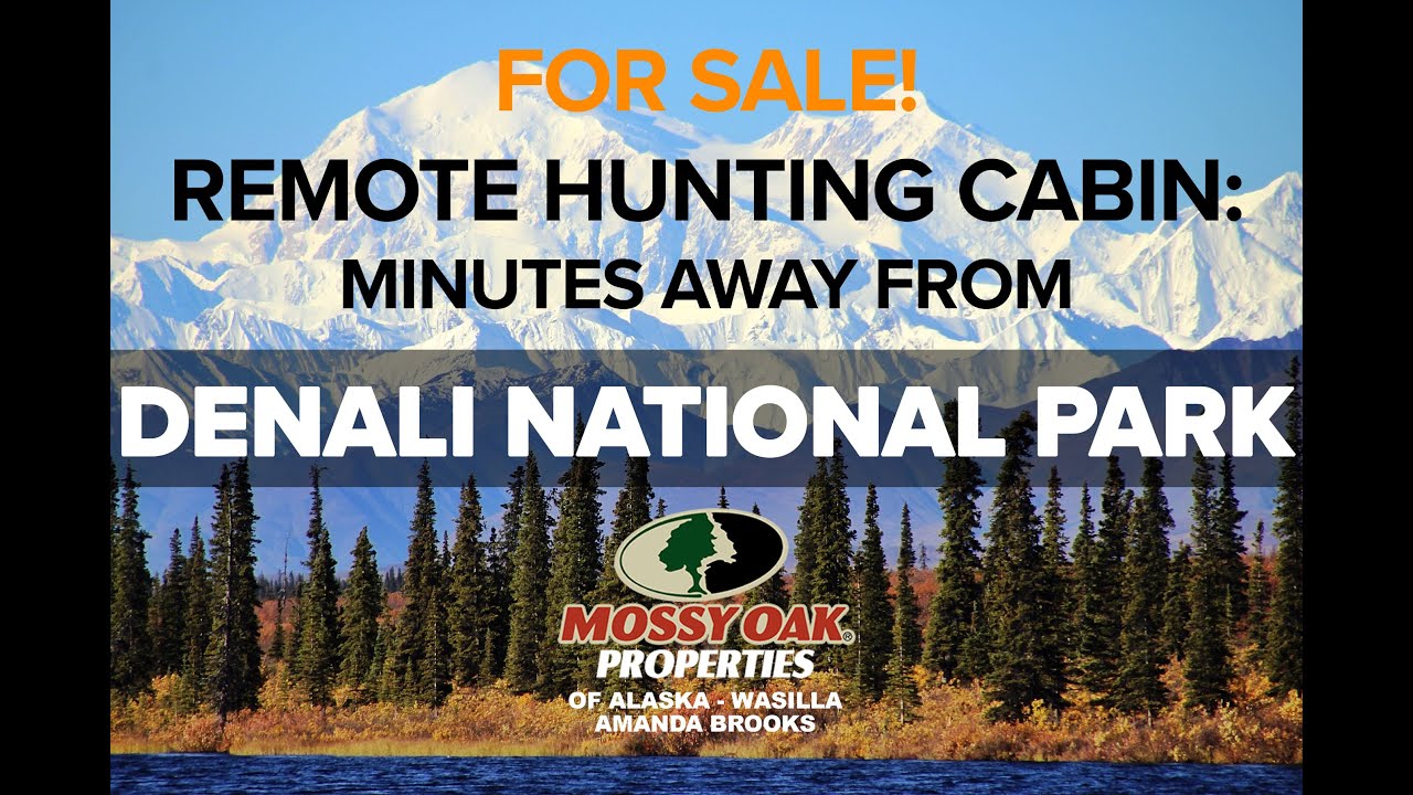 Remote Alaskan Hunting Cabin: A Hidden Gem Minutes from Denali National ...