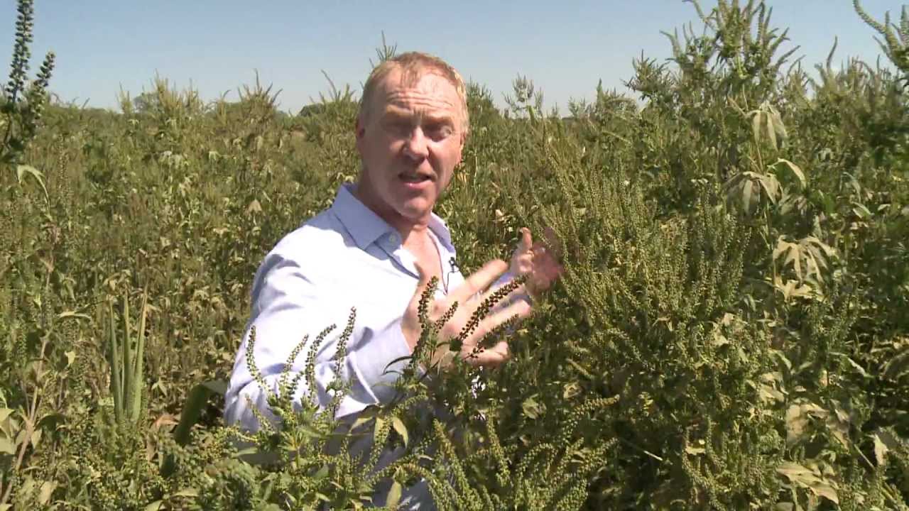 Rise of the superweeds - YouTube