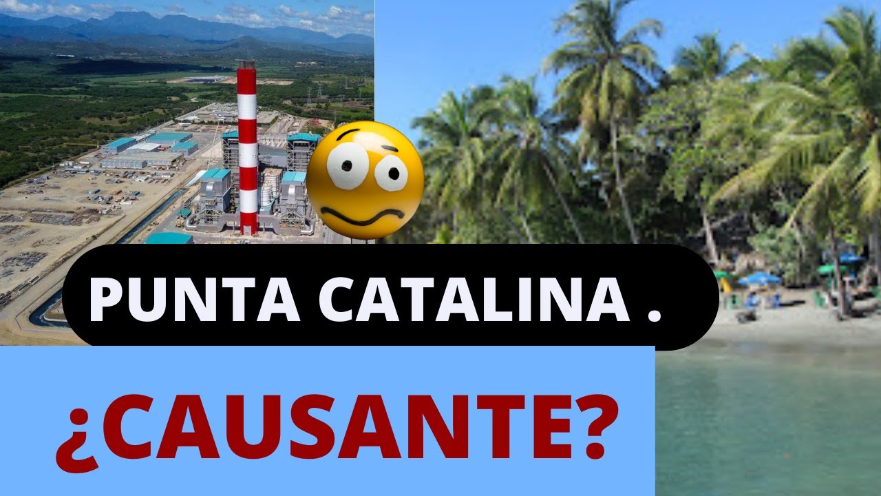(URGENTE) PUNTA CATALINA SE TRAGA COSTA DE PALENQUE - YouTube