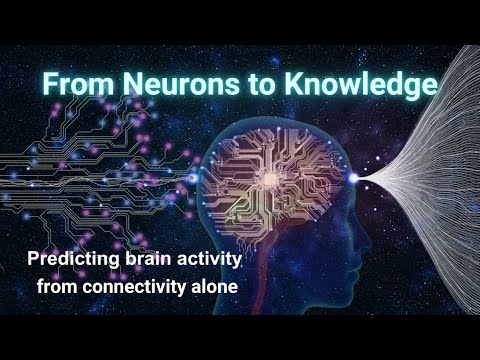 Connectome-Constrained Networks - DNM of the Fruit Fly Visual System ...