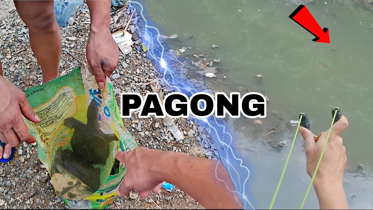 | AHAS PAGONG | SLINGSHOT FISHING | - YouTube