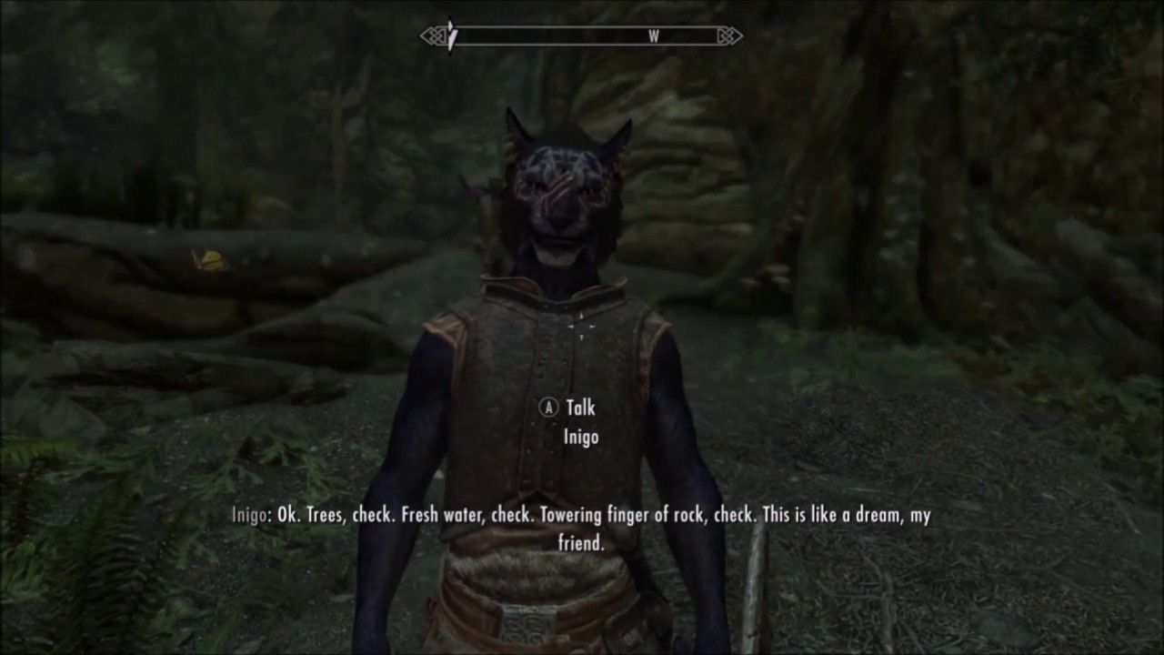 More Of Inigo's Comments On Shadowgreen Cavern (Skyrim: Special Edition ...