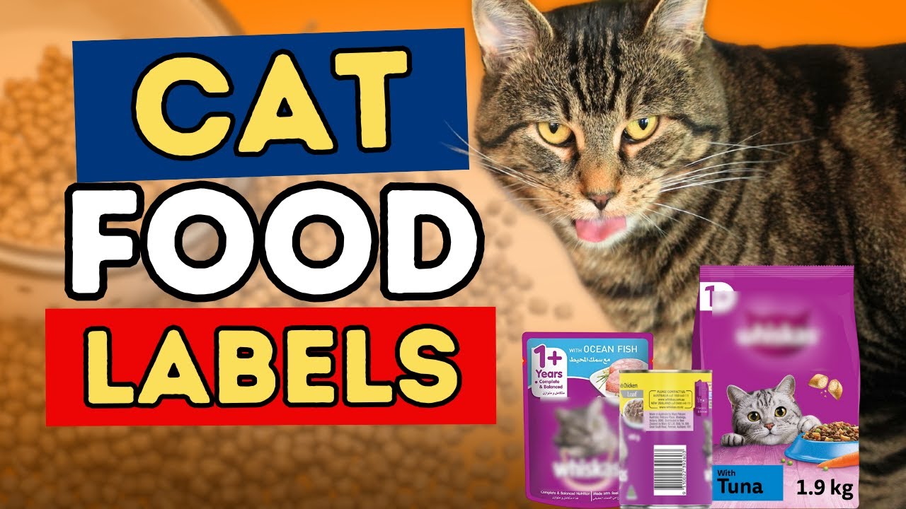 Is Your Cat Food Safe? How To Read A Pet Food Label - YouTube