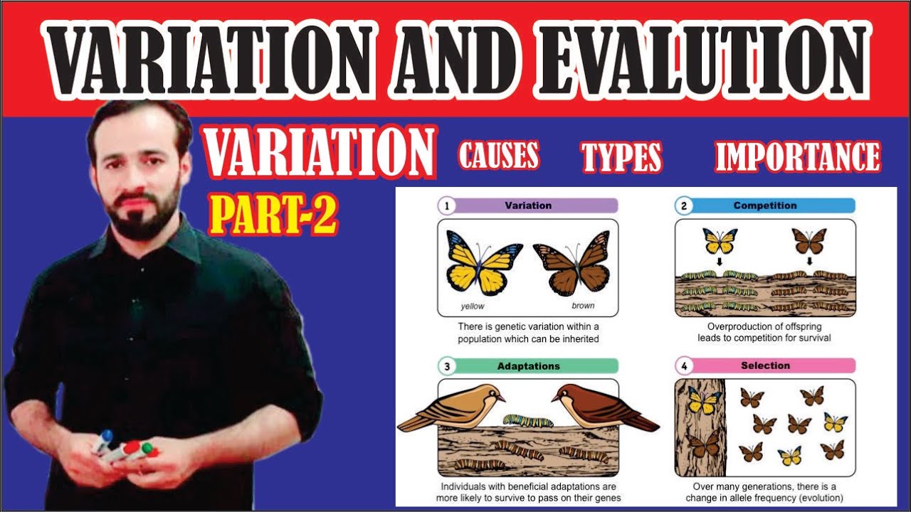 Variation | What is Variation | Causes, Types , Importance | Class10 ...
