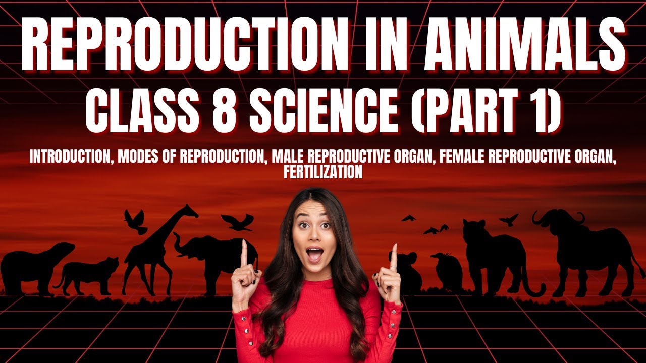 Class 8 Science Chapter | Reproduction in Animals Part 1 | Modes ...