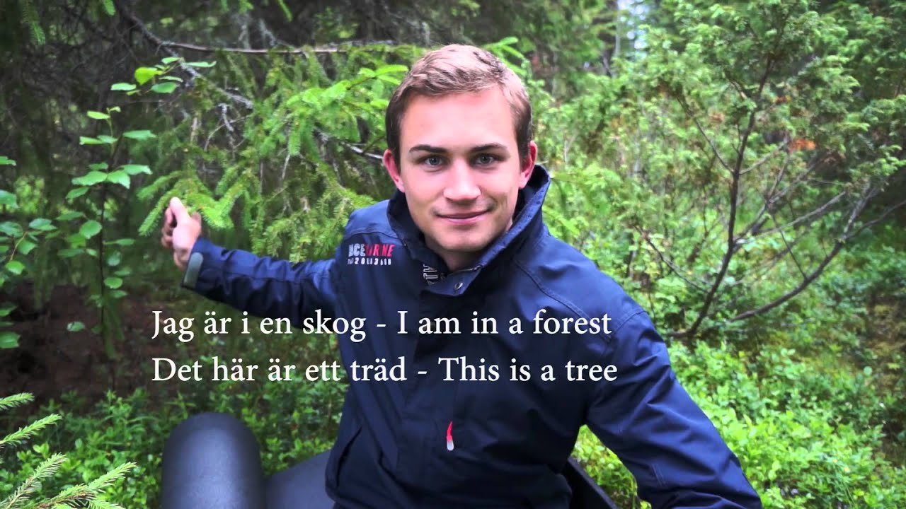 Learn Swedish, Lesson 1: Useful Phrases - YouTube