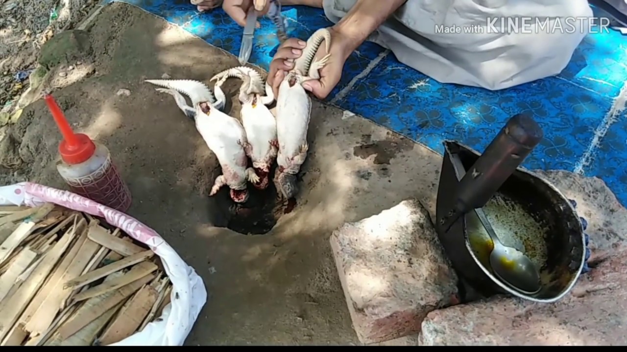 Original Sanda oil Making In pakistan (whatsapp 03361482571 ) - YouTube