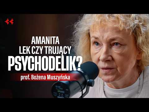 Grzyby mogą leczyć depresję. Dlaczego medycyna obawia się psylocybiny? prof. Bożena Muszyńska