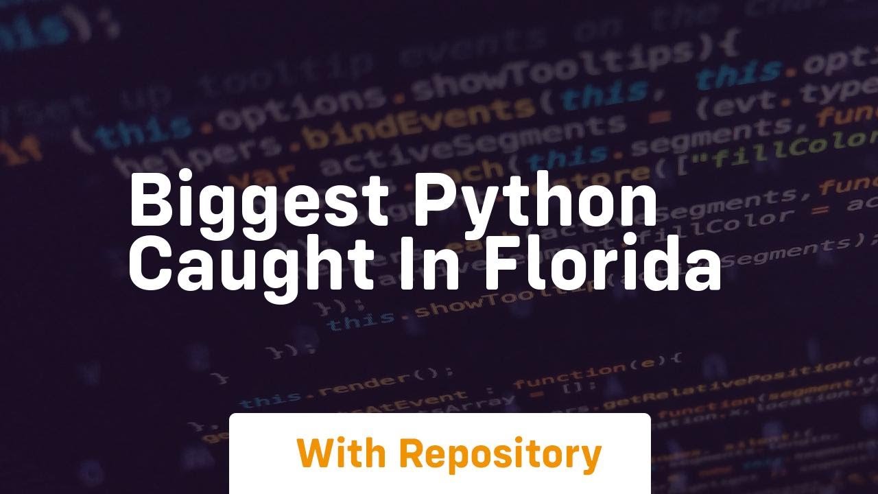 biggest python caught in florida - YouTube