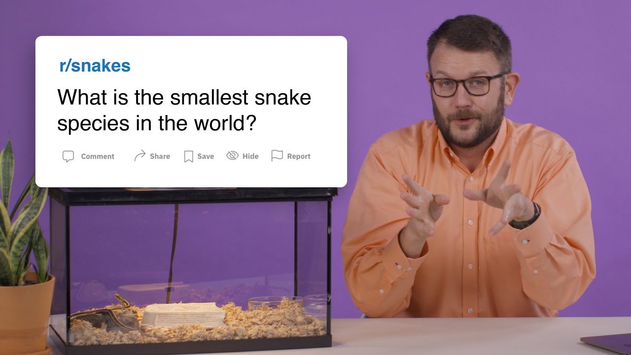 Biology Professor Answers Snake Questions from the Internet | JMU ...