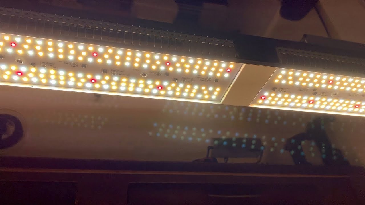 Mars Hydro SP-150 Unboxing and Review - Watt, PAR/PPFD, and Temperature ...