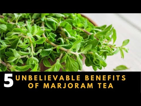 5 Unbelievable Benefits Of Marjoram Tea - YouTube