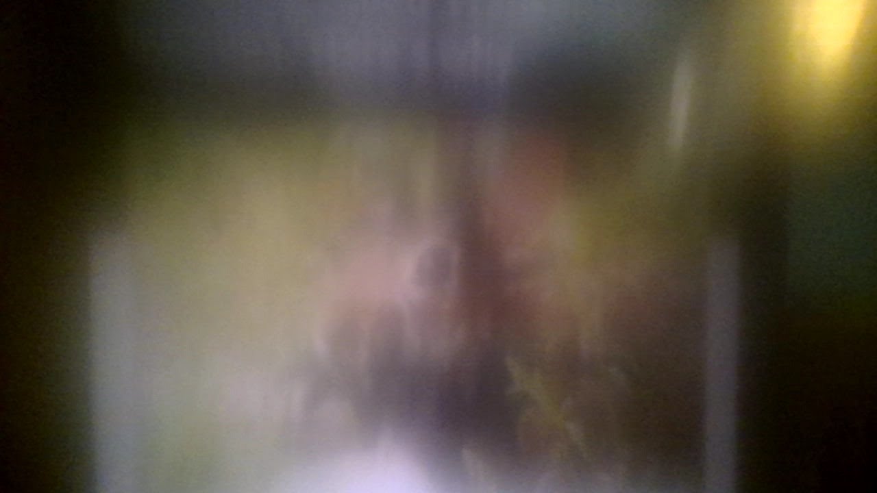 Aliens, Zombie Spiders, Mutant Rabbits?? - YouTube