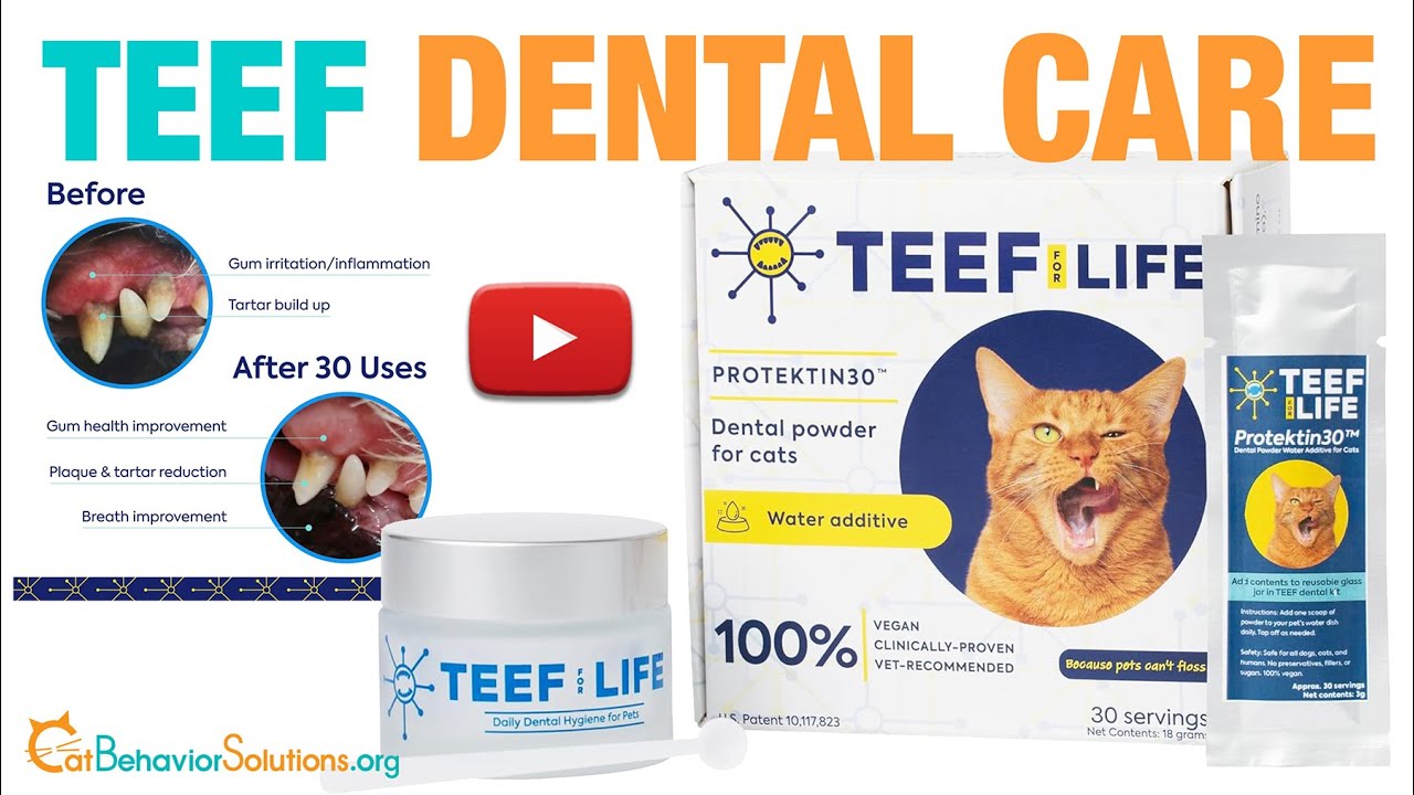 TEEF Product Review - YouTube