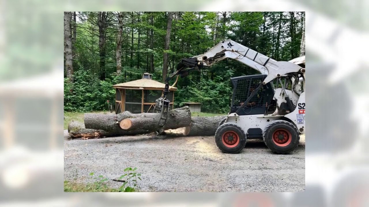 You Call, It Falls .. Dave's Tree Service - YouTube