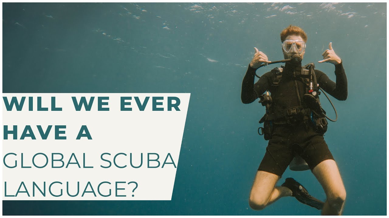 Will We Ever Have a Universal Scuba Sign Language? #scuba - YouTube