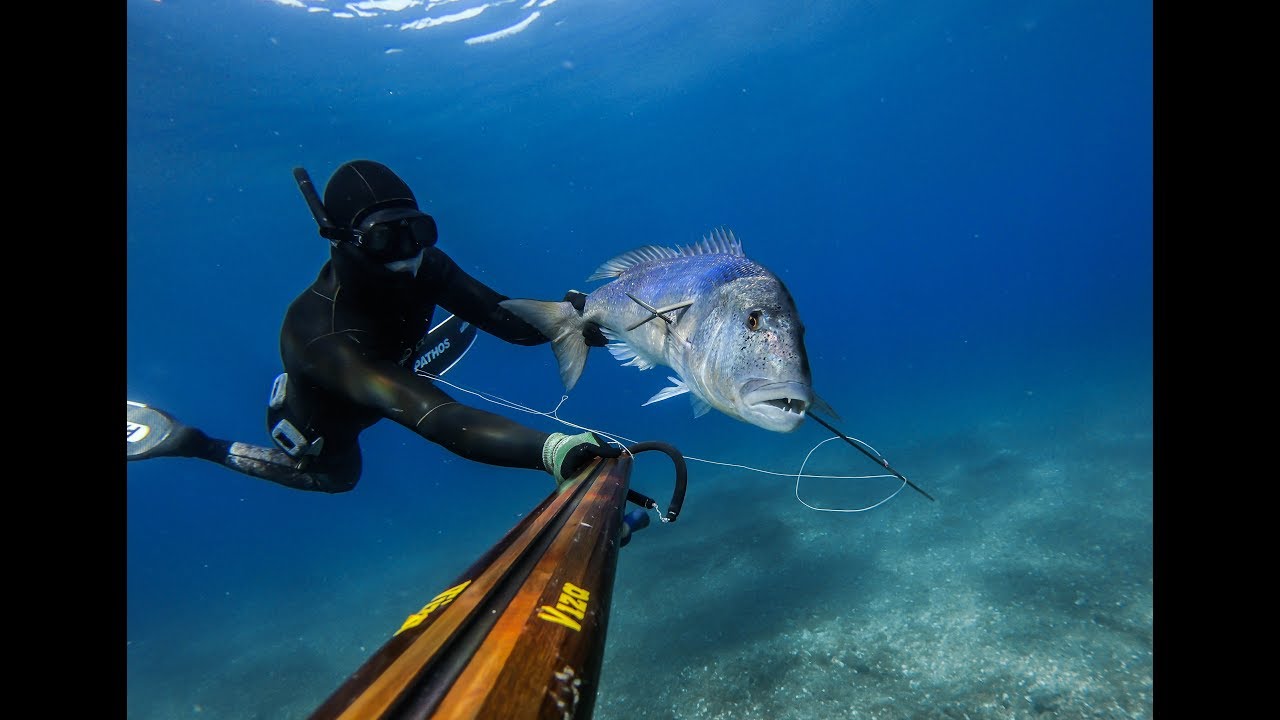 Spearfishing summer 2019 - YouTube