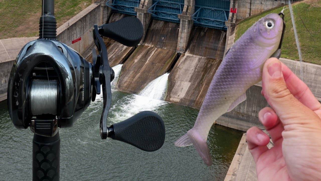 Insane Spillway Fishing for Giant Toothy fish! - YouTube