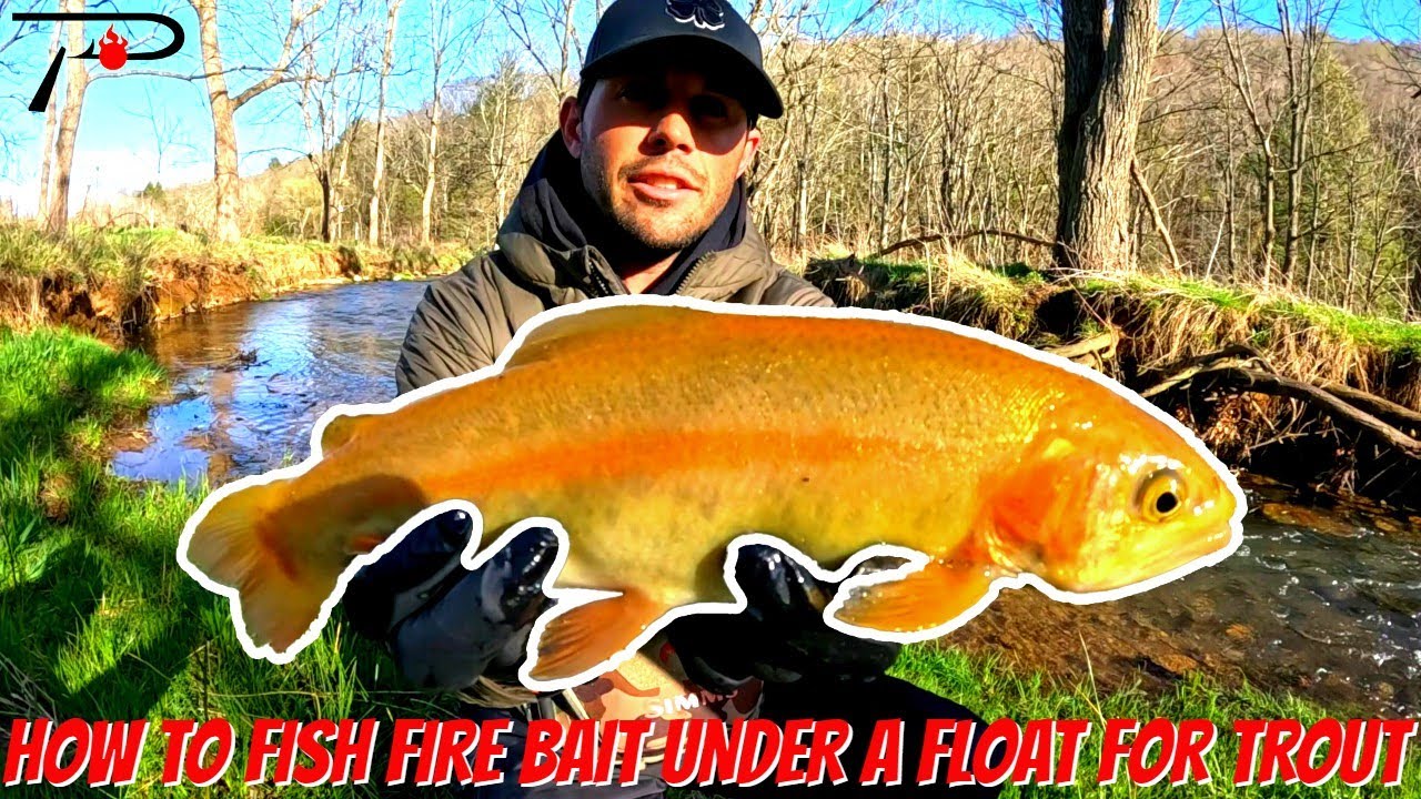 How to Fish Fire Bait Under a Float for Trout - YouTube