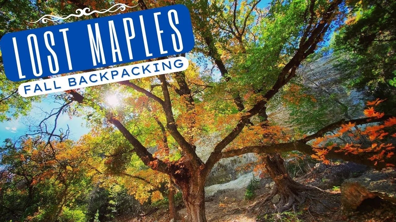 TEXAS Fall Colors | Backpacking Lost Maples State Natural Area - YouTube
