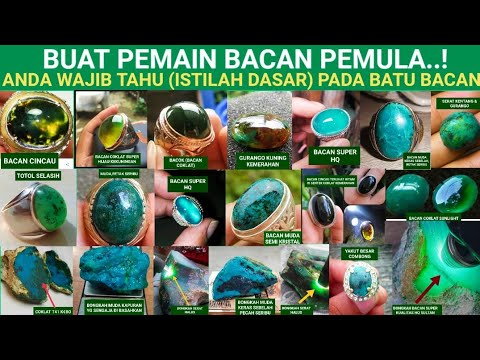 BUAT PEMAIN BACAN PEMULA..! ANDA WAJIB TAHU "ISTILAH DASAR" PADA BATU ...
