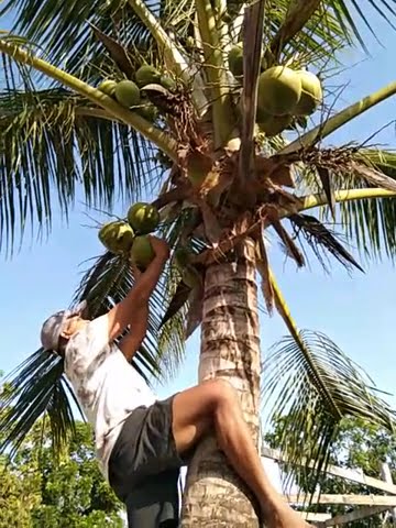 The CocoMan 😁😍 - YouTube