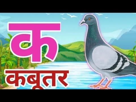A SE ANAR AA SE AAM E SE EMLI E SE EKH अ से अनार आ से आम हिंदी में लिखा ...