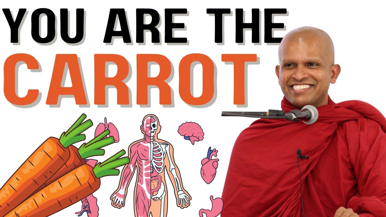 You are the Carrot| The Nature of Nature| Sydney - YouTube