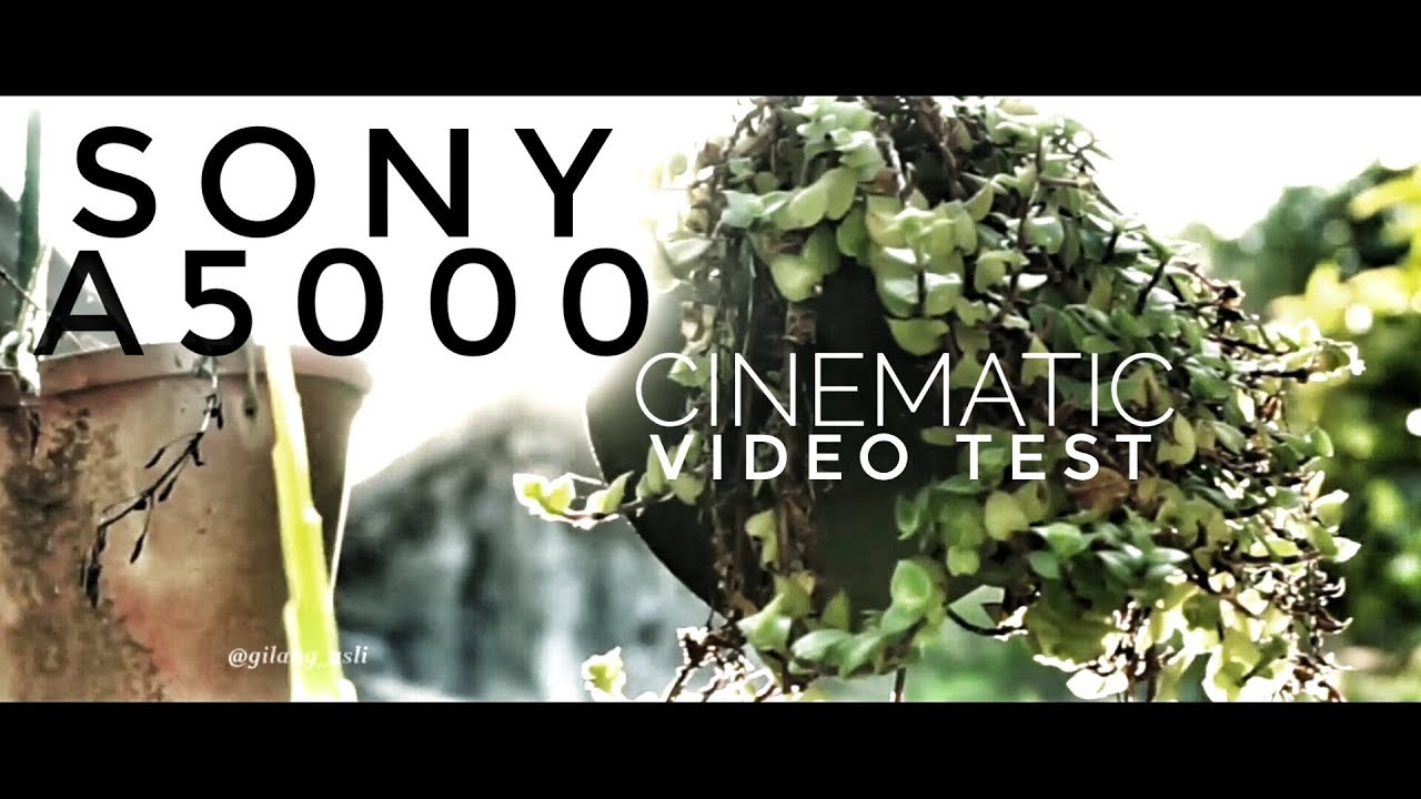Sony A5000 Cinematic Video Test - YouTube