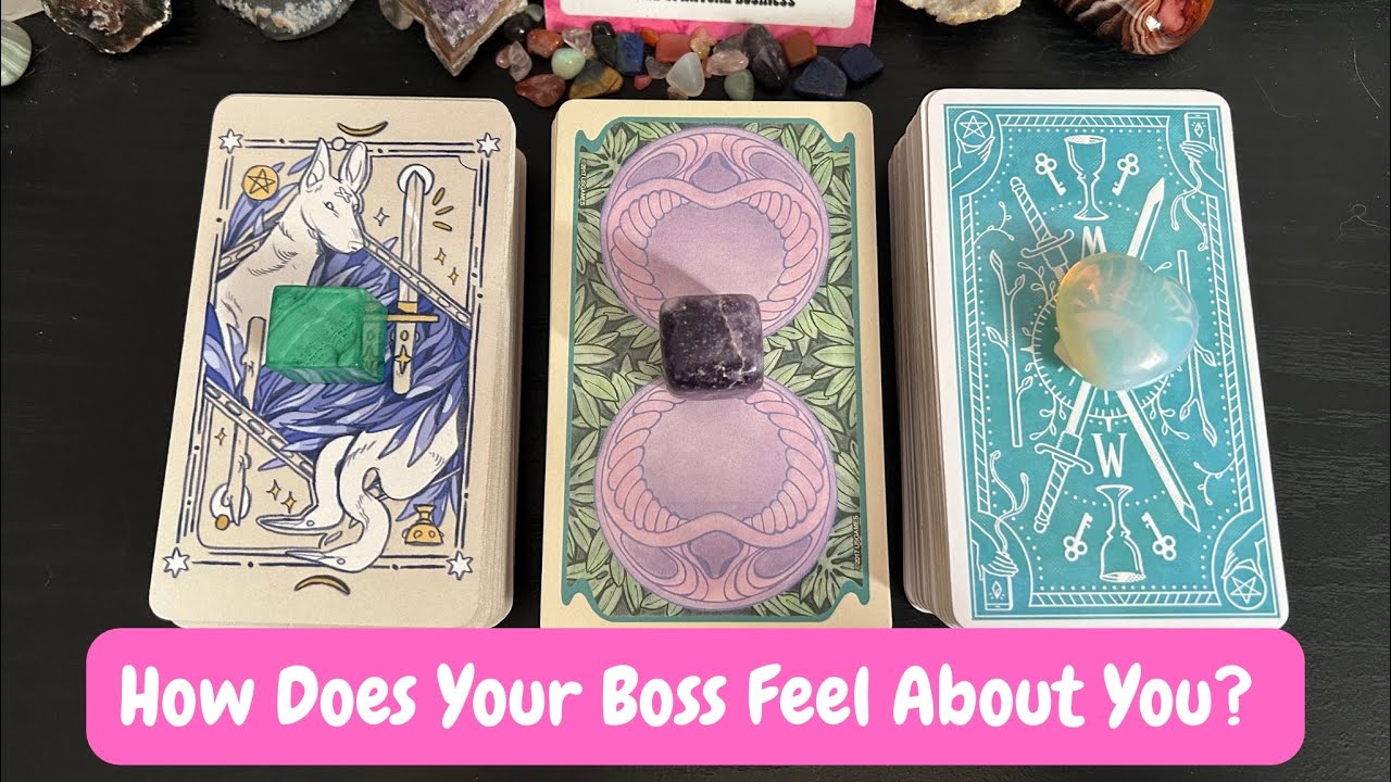How Does Your BOSS FEEL About You 💚 Pick a Card Timeless Tarot Love ...