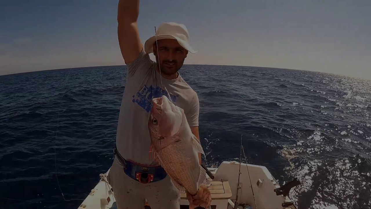 Lost and found fish [English CC] - YouTube