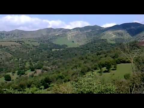 Celilabad rayonu shatirli kendi