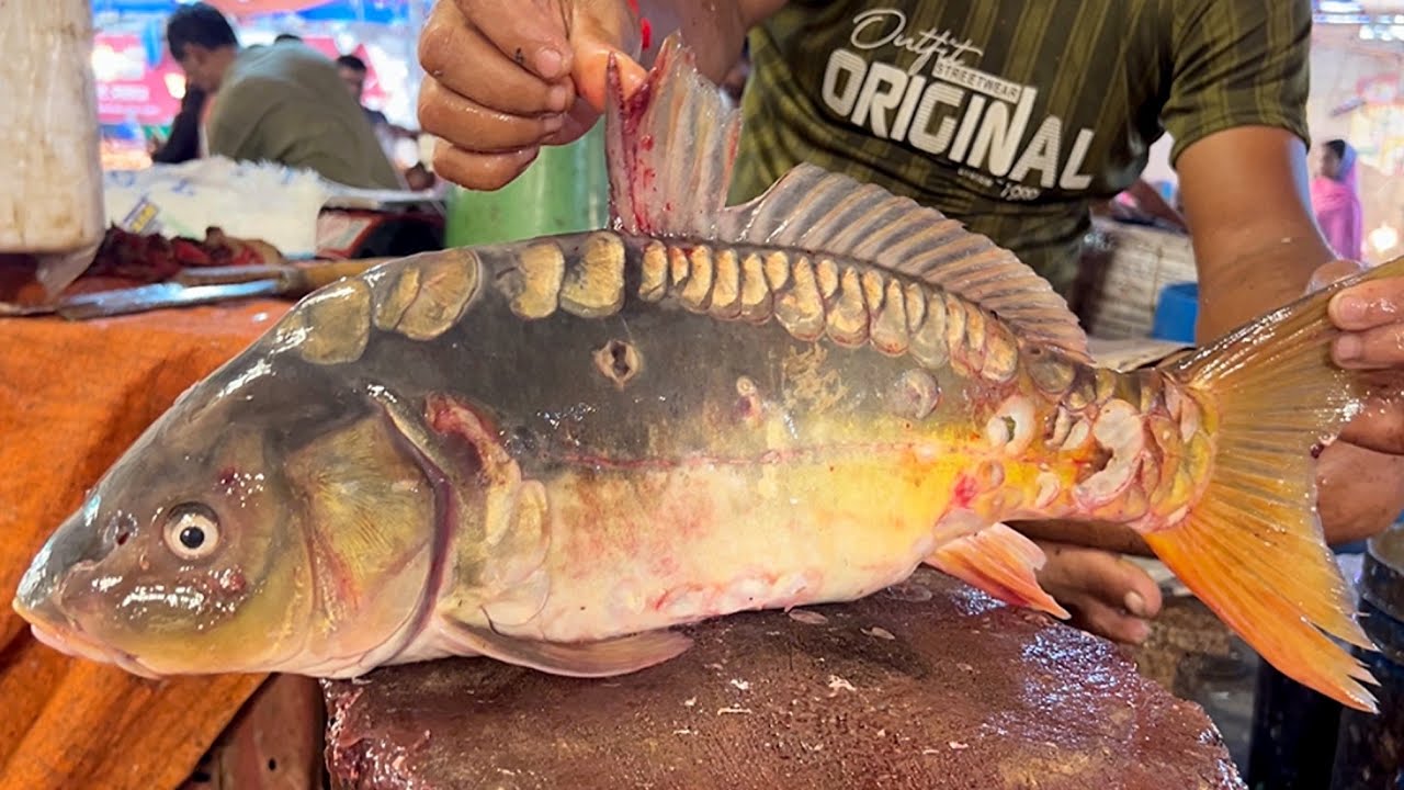 Amazing Big Mirror Carp Fish Cutting Skills Live In Fish Market | Fish ...