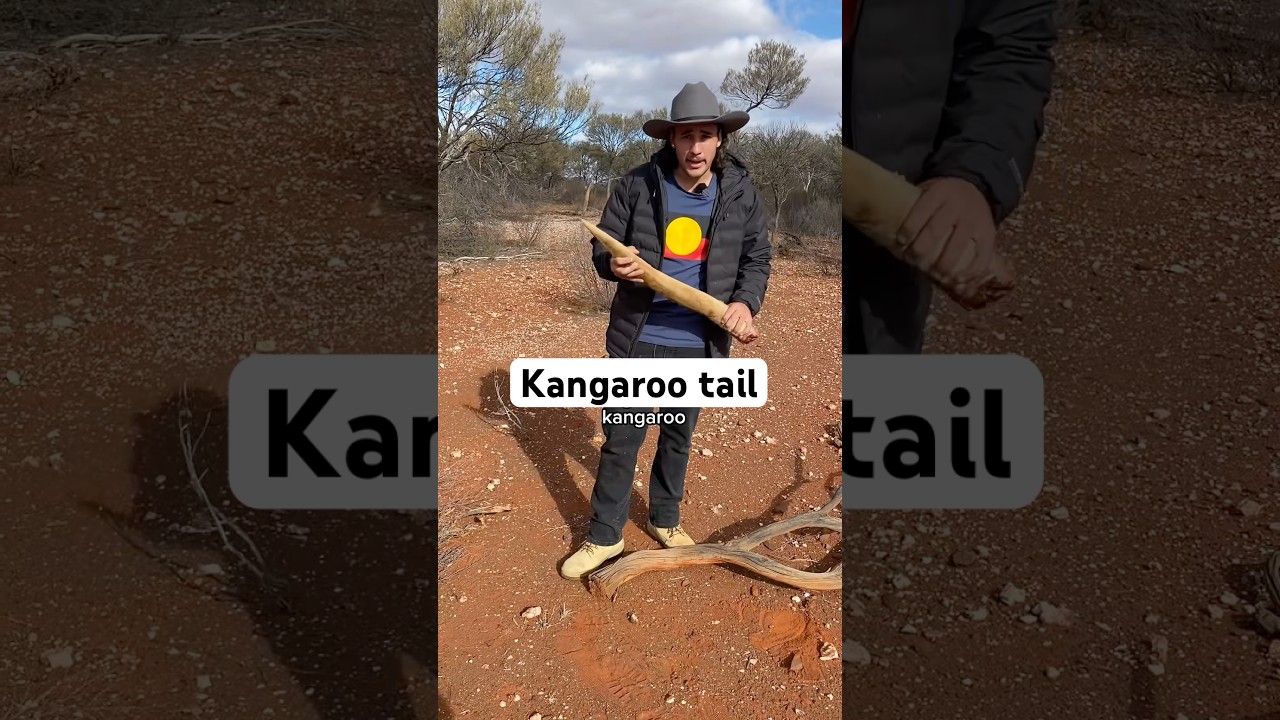 How to cook Kangaroo tail #shorts #howto #cooking #culture #kangaroo # ...
