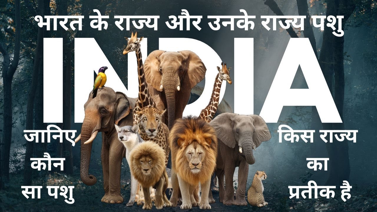 भारत के राज्य और उनके राज्य पशु | State Animals of India | Amazing ...