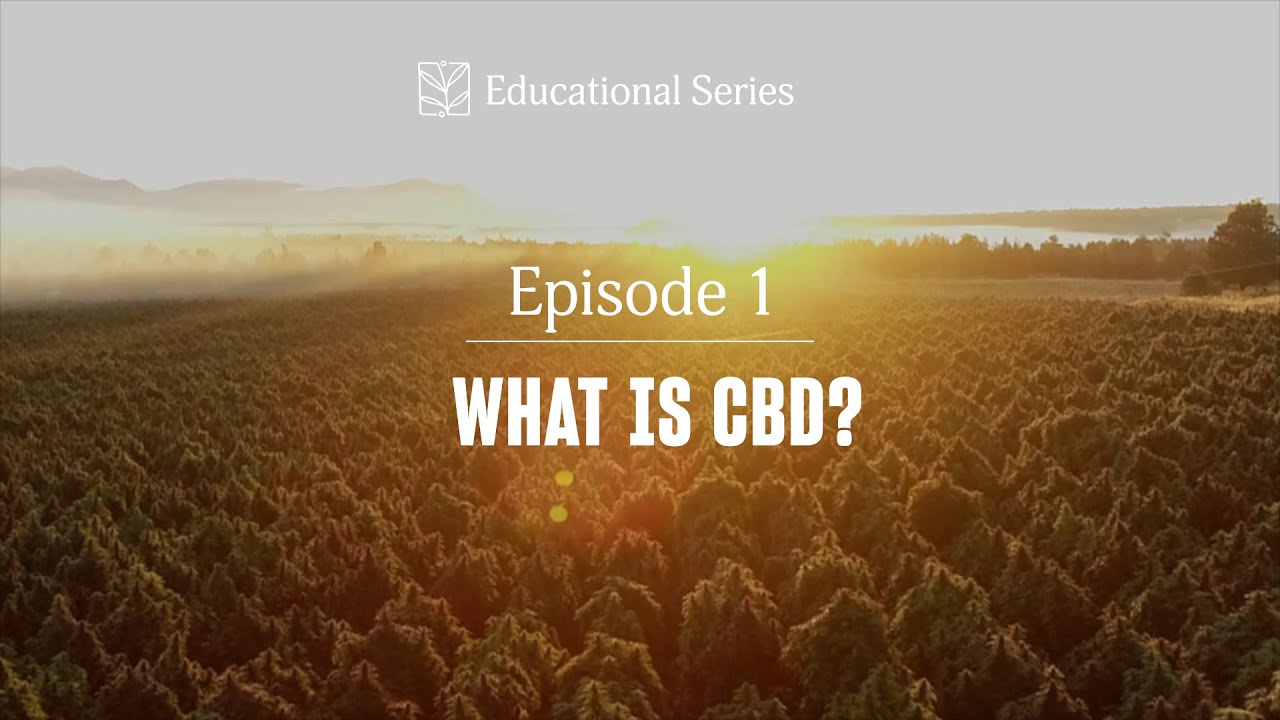 Episode 1 | What is CBD? | CBD 101 - YouTube