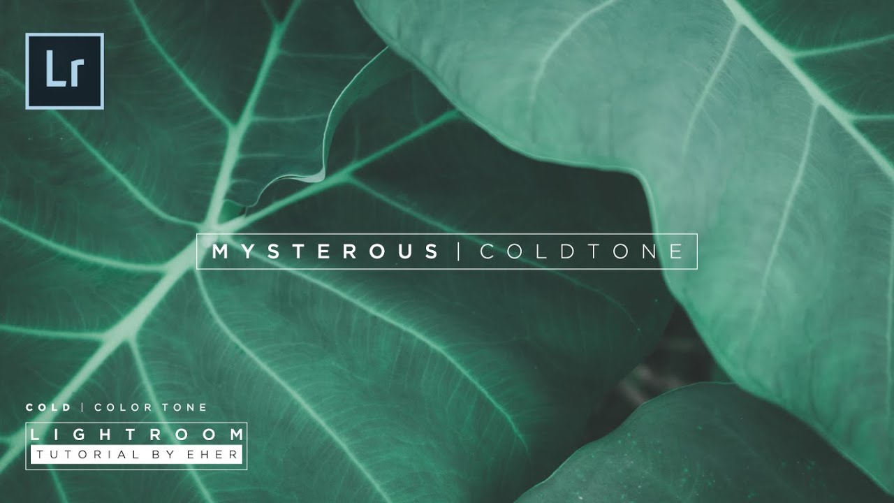 How To Edit Photo To Cold Dark Nature Color Tone with Adobe Lightroom ...