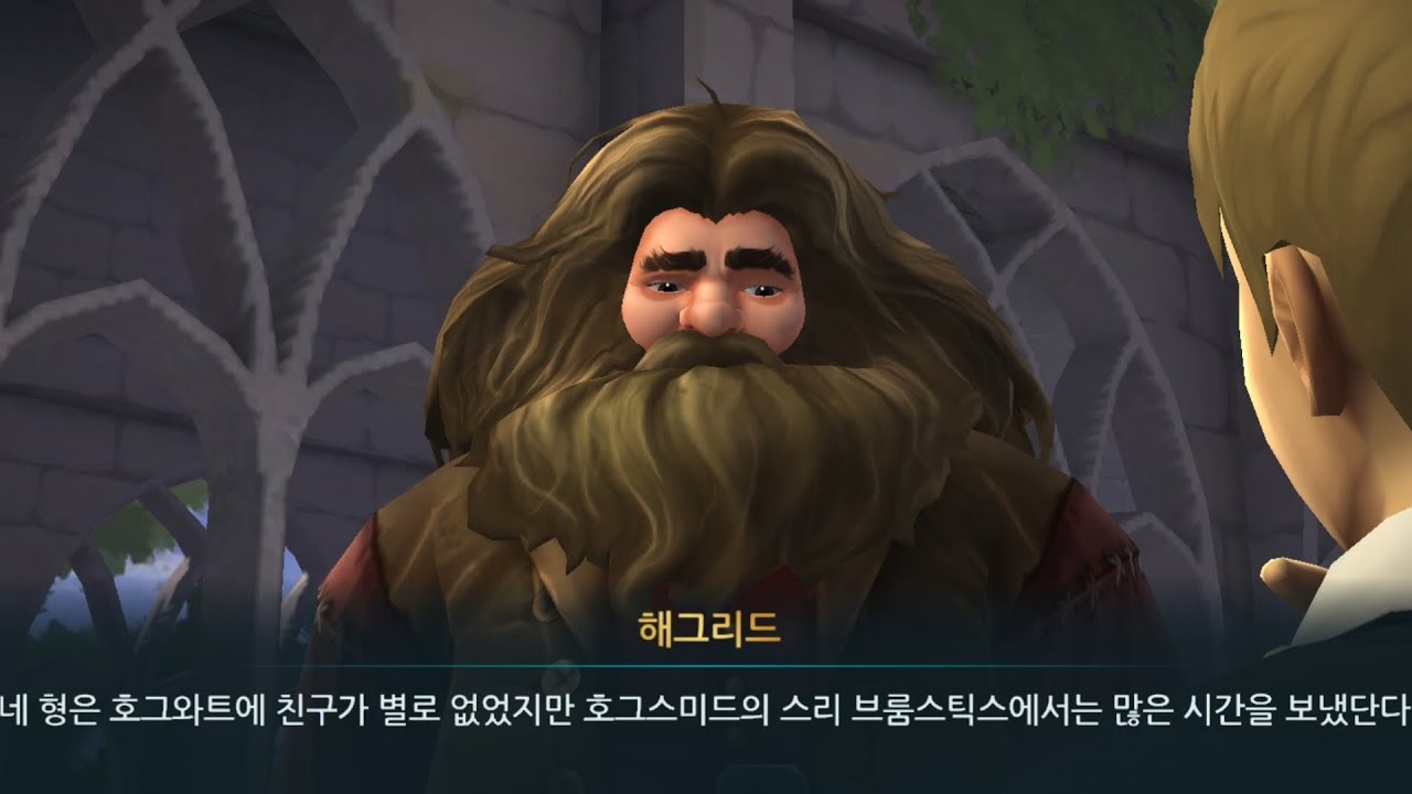 Hagrid's information about Edward's brother || Harry Potter:Hogwarts ...