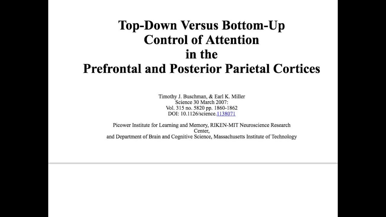 Top Down and Bottom Up Attention - YouTube