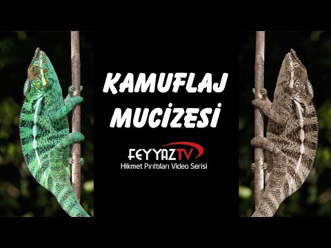 Kamuflaj Mucizesi ᴴᴰ