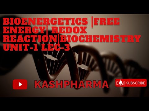 BIOENERGETICS | FREE ENERGY | REDOX RXN. | BIOCHEMISTRY|2ND SEM. | UNIT ...