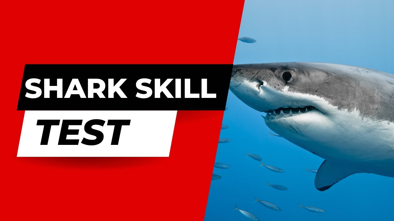 The Shark Skill Test For Lower Body Agility Measurement - YouTube