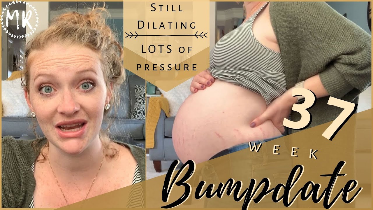 37 Week BUMPDATE | Still Dilating | LOTS of Pressure - YouTube