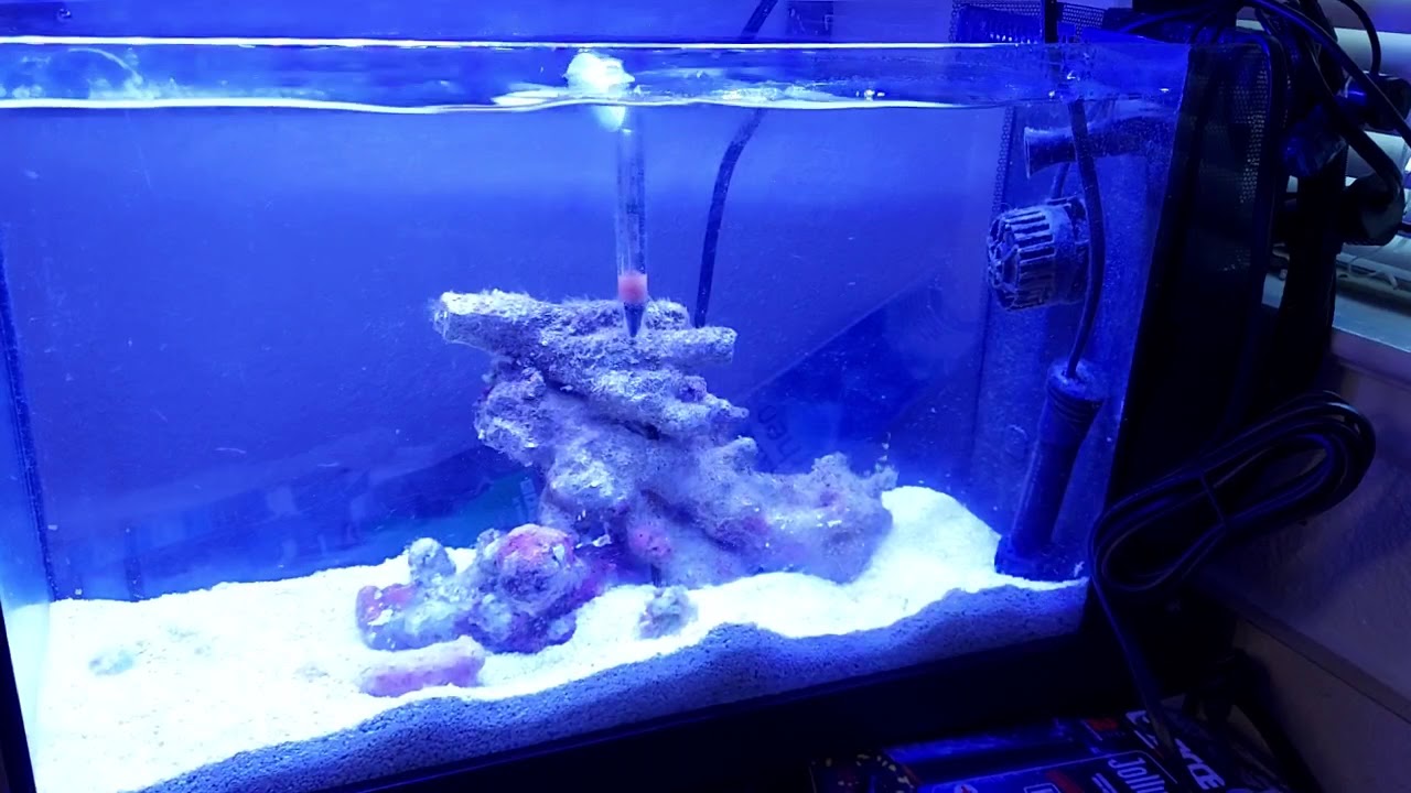 Fluval Spec V aka Fluval Evo: Upgraded return pump flow - YouTube