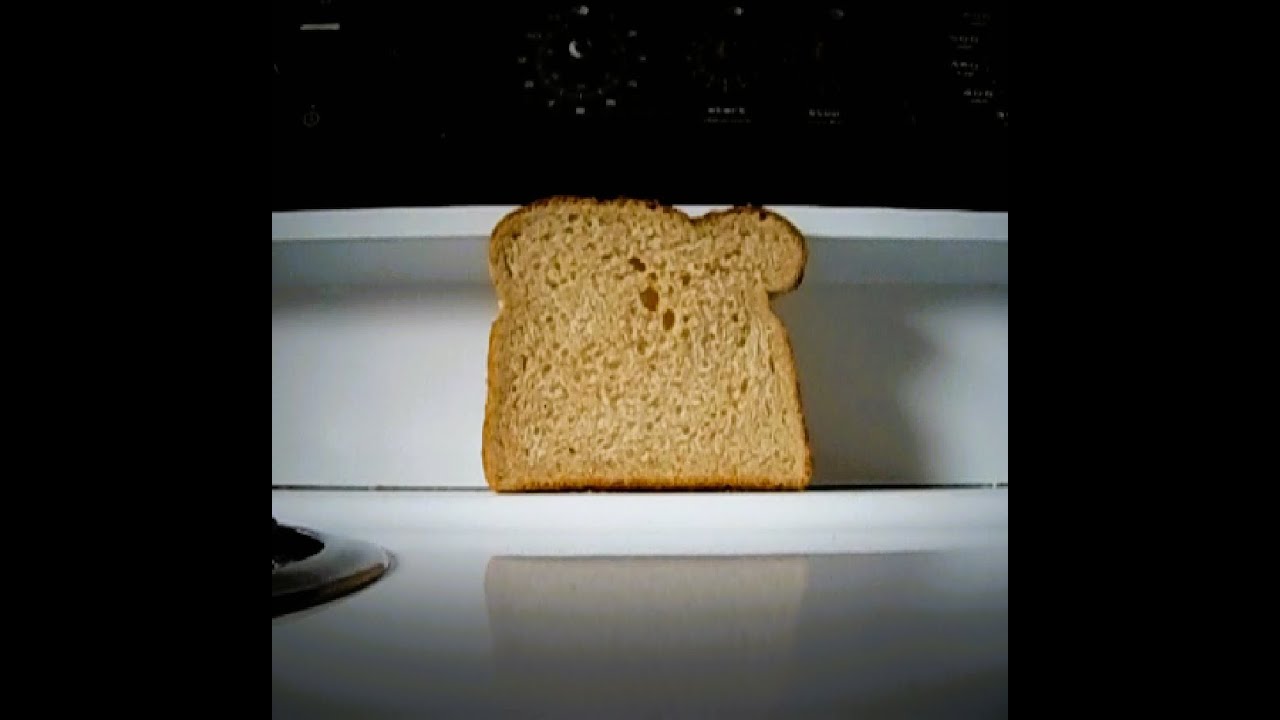 Whole Wheat Bread Falling Over - YouTube