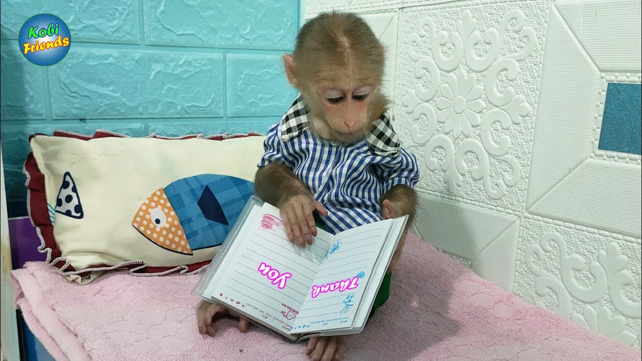 Kobi Monkey learns to say Thank You - YouTube