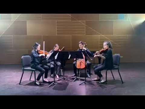 Mendelssohn String Quartet No. 6 in F Minor, Op. 80 - I. Allegro vivace assai - YouTube