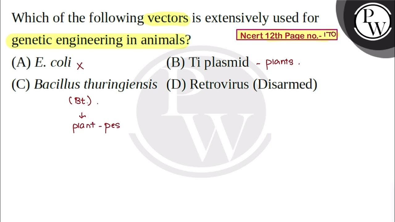 Which of the following vectors is extensively used for genetic engineering in animals?.... - YouTube