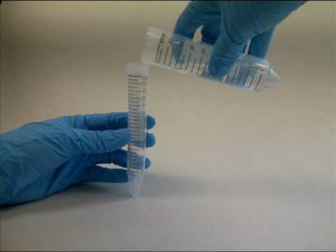 UltraFast mycotoxin clean-up columns for HPLC analysis - YouTube