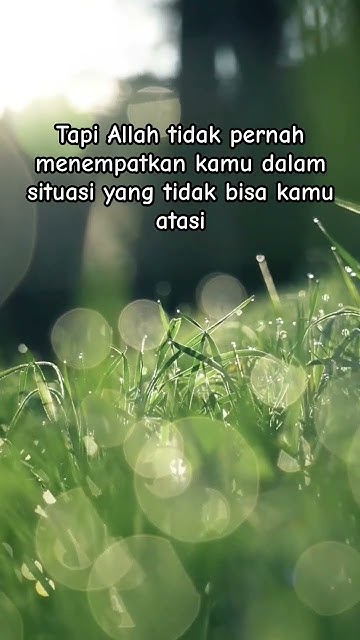 Masyaallah Quotes Motivation Youtube